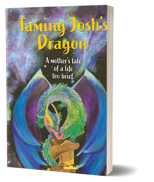 BUY THE BOOK - Taming Josh's Dragon